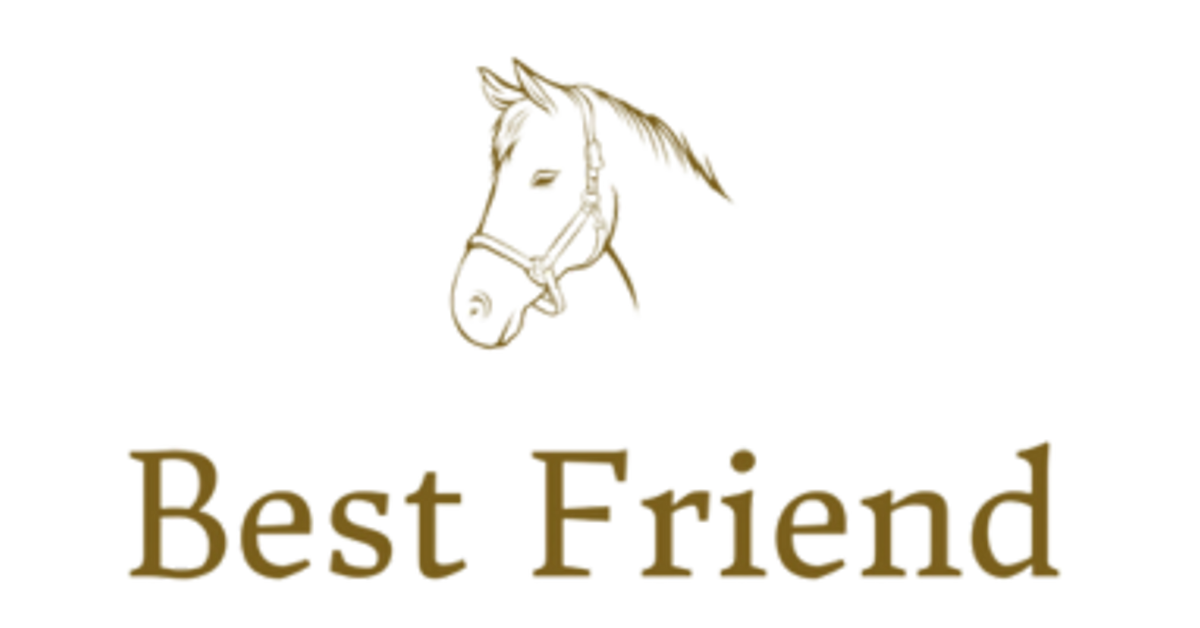 Products – Best Friend Equine